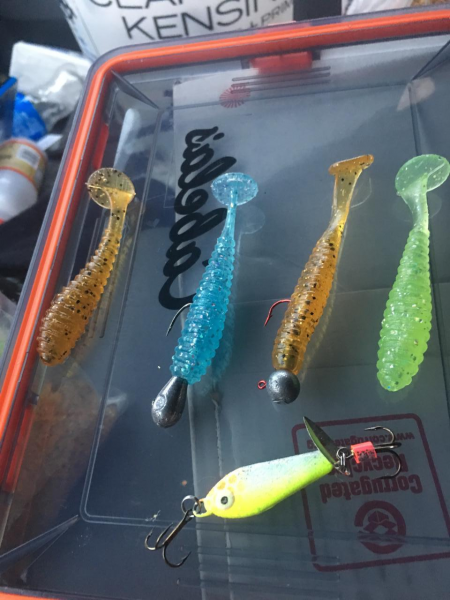 Custom Baits - Forum - Bait’s
